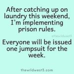 Hilariously Funny Laundry Memes to Make You Laugh When the Laundry ...