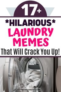 Hilariously Funny Laundry Memes to Make You Laugh When the Laundry ...