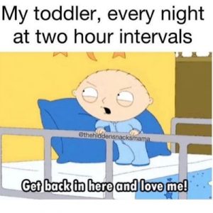 21 Hilariously Funny Toddler Memes That Are Too Relatable – The Wild ...