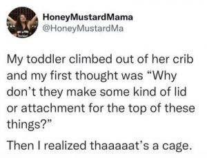 21 Hilariously Funny Toddler Memes That Are Too Relatable – The Wild ...